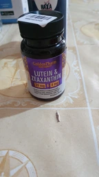 Натуральна добавка Golden Pharm Лютеїн та Зеаксатин капсули 350 мг №60 (4820183471000) – фото ...