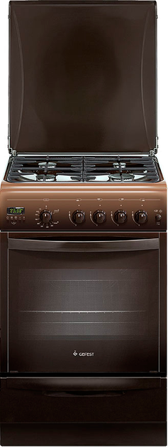 Газовая плита GEFEST ПГ 5100-04 0001 – фото, отзывы, характеристики в ...
