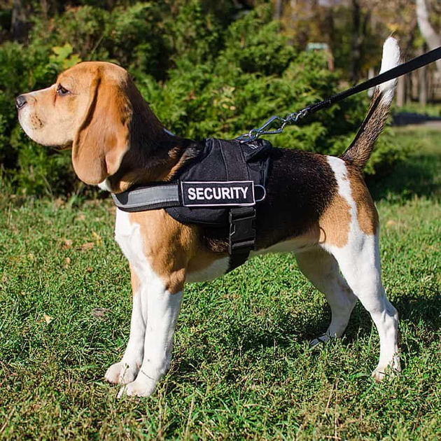 Шлея для собак Zoofari Security M Black от продавца: DCMS – в интернет ...