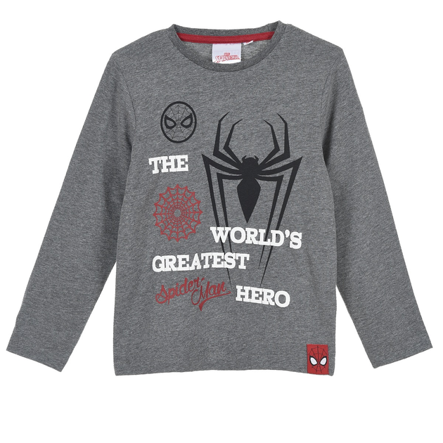 Кофта Disney Spider Man (Человек Паук) 104 см Серый TH10081 от продавца ...