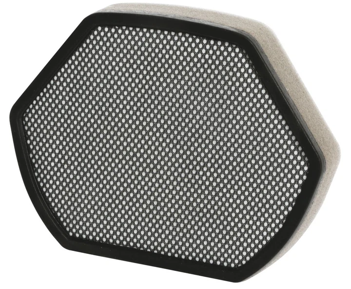 Фільтр для пилососа BOSCH 12012937 для моделей BGC1U.., BGC2U.., BGC21 ...