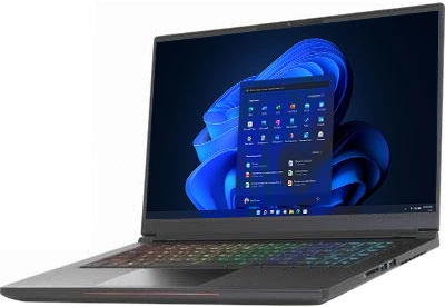 Ноутбук Intel Whitebook Gaming (BQC71BUBU6000) – фото, відгуки ...