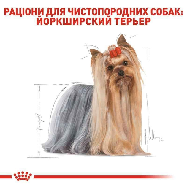 Сухой корм Royal Canin (Роял Канин) Yorkshire Terrier Adult для ...