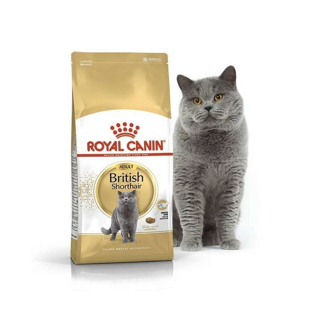 Сухой корм для британских кошек Royal Canin BRITISH SHORTHAIR 4кг ...