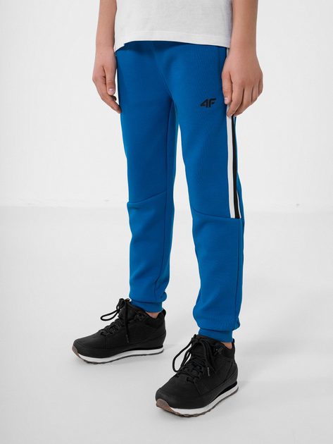Спортивные штаны детские 4F HJZ22-JSPMD003-36S 158 см (5903609245917 ...