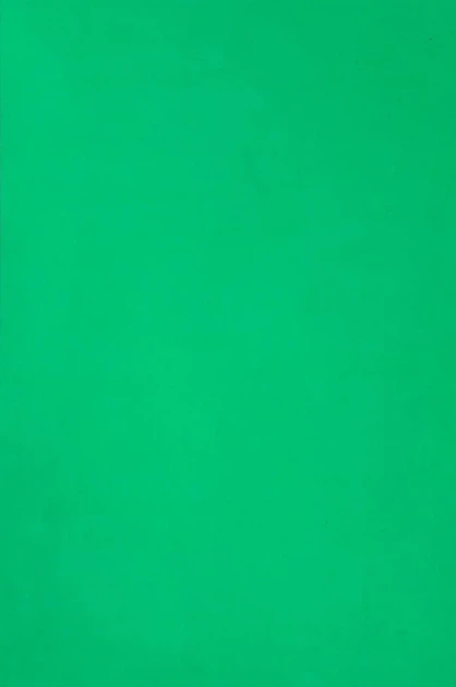 Обкладинка для оправлення пластикова Bindmark А4 150мкм поштучно Зелена фото відгуки