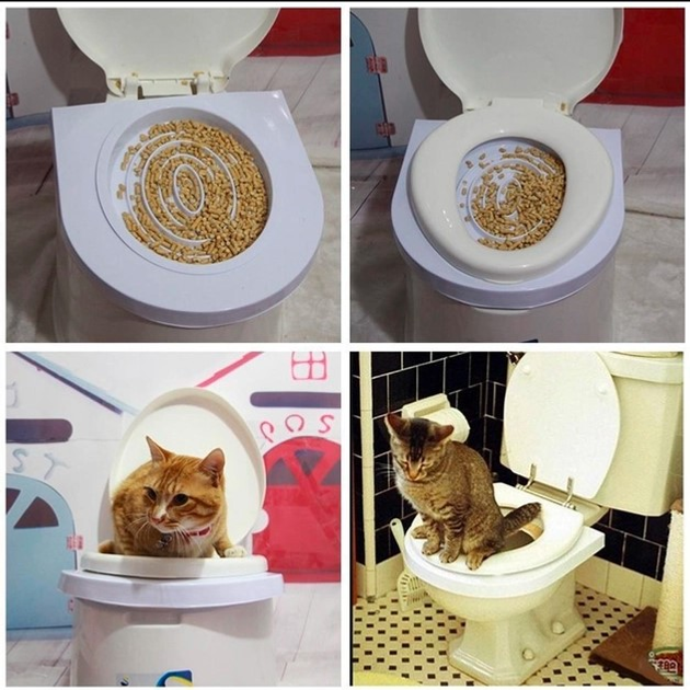 Набор для приучения кошки к унитазу CitiKitty Toilet белый туалет для ...