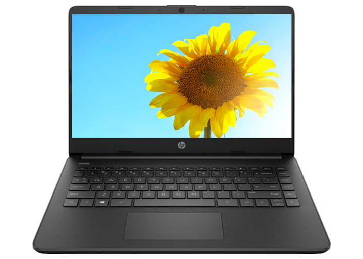 Ноутбук HP Laptop 14-dq0051dx (685K0UA) – фото, відгуки, характеристики ...
