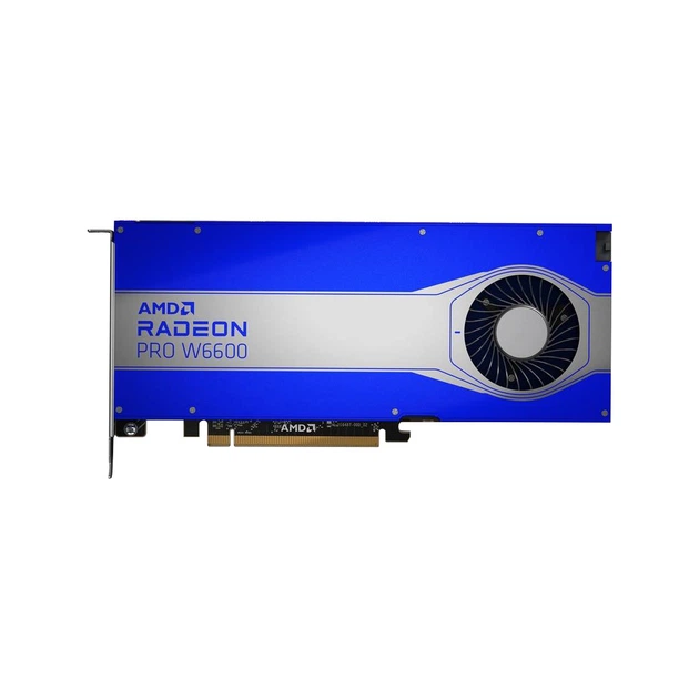 Видеокарта Radeon Pro W6600 8GB 4DP HP (340K5AA) – фото, отзывы ...