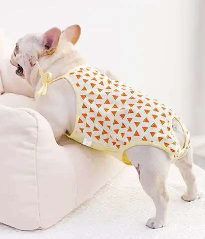 Трусы - боди гигиенические для собак желтый с принтом арбуз XL от ...