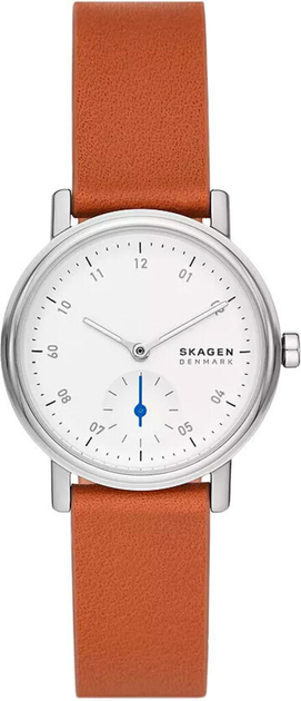 Женские часы SKAGEN SKW3103 – фото, отзывы, характеристики в интернет ...