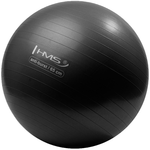 Фітнес м'яч (фітбол) HMS Fitball 65 см 17-42-174 Чорний (5907695554816 ...