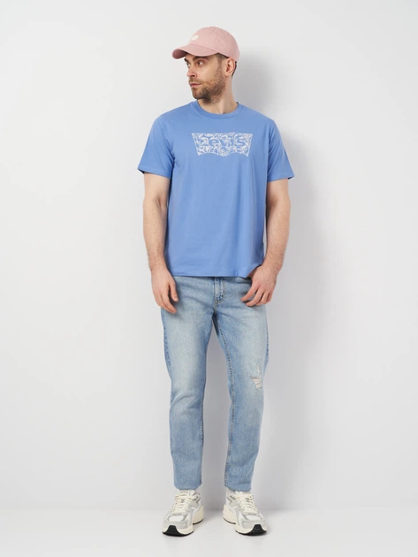 Футболка бавовняна довга чоловіча Levi's Graphic Crewneck Tee 22491 ...
