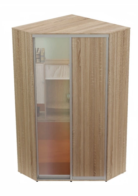 Шафа купе дводверна кутова Алекса 100 100 250 см Дуб Сонома ДСП Дзеркало Кут 1 купити онлайн