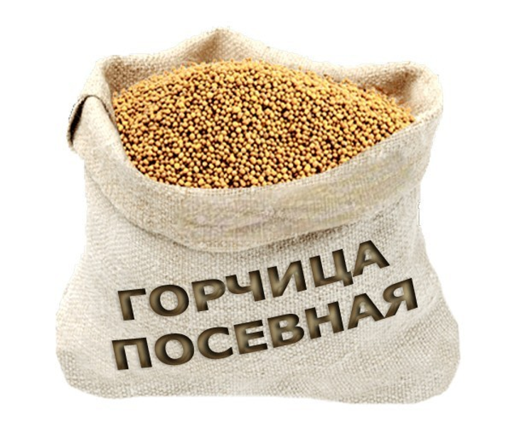 Семена Горчица на сидерат на развес 1 кг купить онлайн на Rozetka