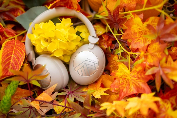 Навушники PowerLocus Orion Sand (pwl-orion-sand) купити в інтернет ...