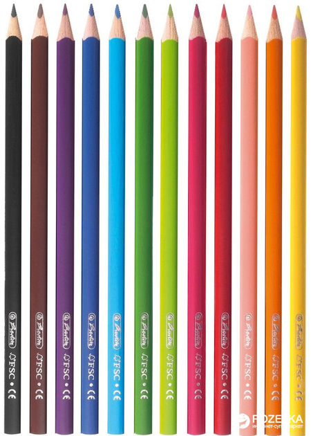 Карандаши цветные Herlitz Pretty Pets 12 цветов (11366333) – низкие ...