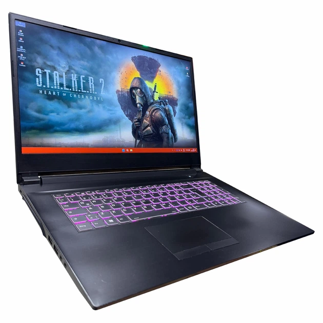 Игровой ноутбук Clevo NH70RD/ 17.3" FullHD, IPS 144 Гц/ Intel Core i7 ...
