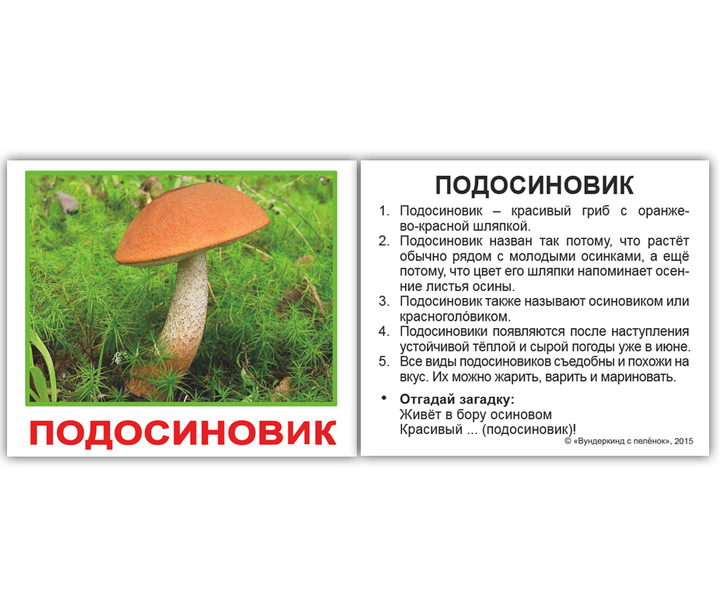 Карточки Грибы - ROZETKA. Купить карточки Грибы для детей в Украине: ️ ...