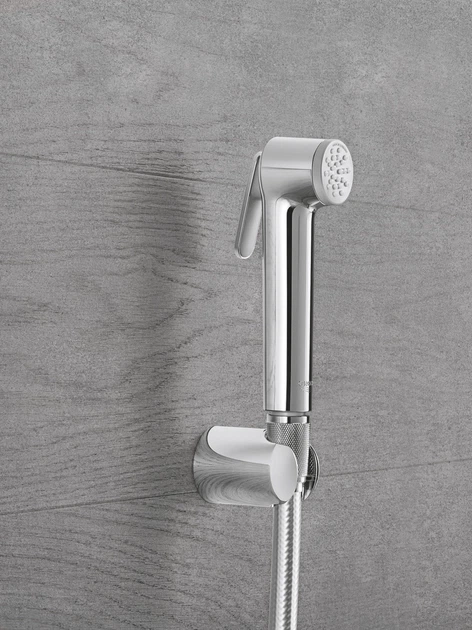 Гігієнічний душовий набір Grohe Tempesta-F Trigger Spray (26352000 ...