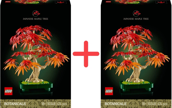 Набір конструкторів LEGO Botanicals Бонсай з японського червоного клена ...