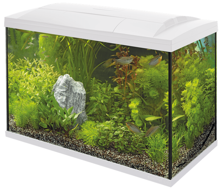 Акваріумний стартовий набір SuperFish Start 100 Aquarium Kit White ...