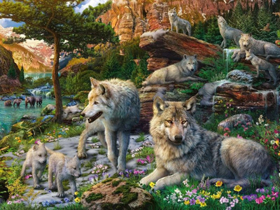 Пазлы 1001-1500 элементов в наборе купить в ROZETKA: развивающие пазлы ...