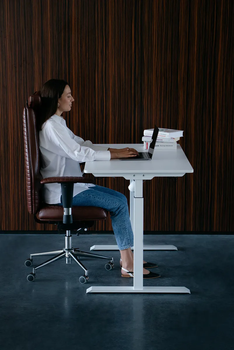 Стіл-Смарт з електрорегульованою висотою iDesk USB White – купити ...