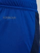Спортивные шорты мужские Adidas UAF Away IK2248 2XL Синие ...