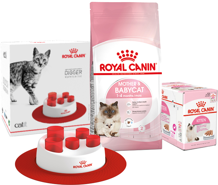 ПРОМО НАБОР сухой корм для беременных кошек и котят Royal Canin Mother ...