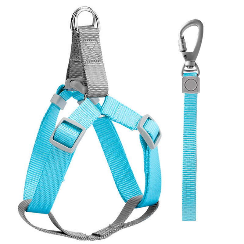Шлей для собак или кошек с поводком Taotaopets 171120 Blue L (2.0 cm ...
