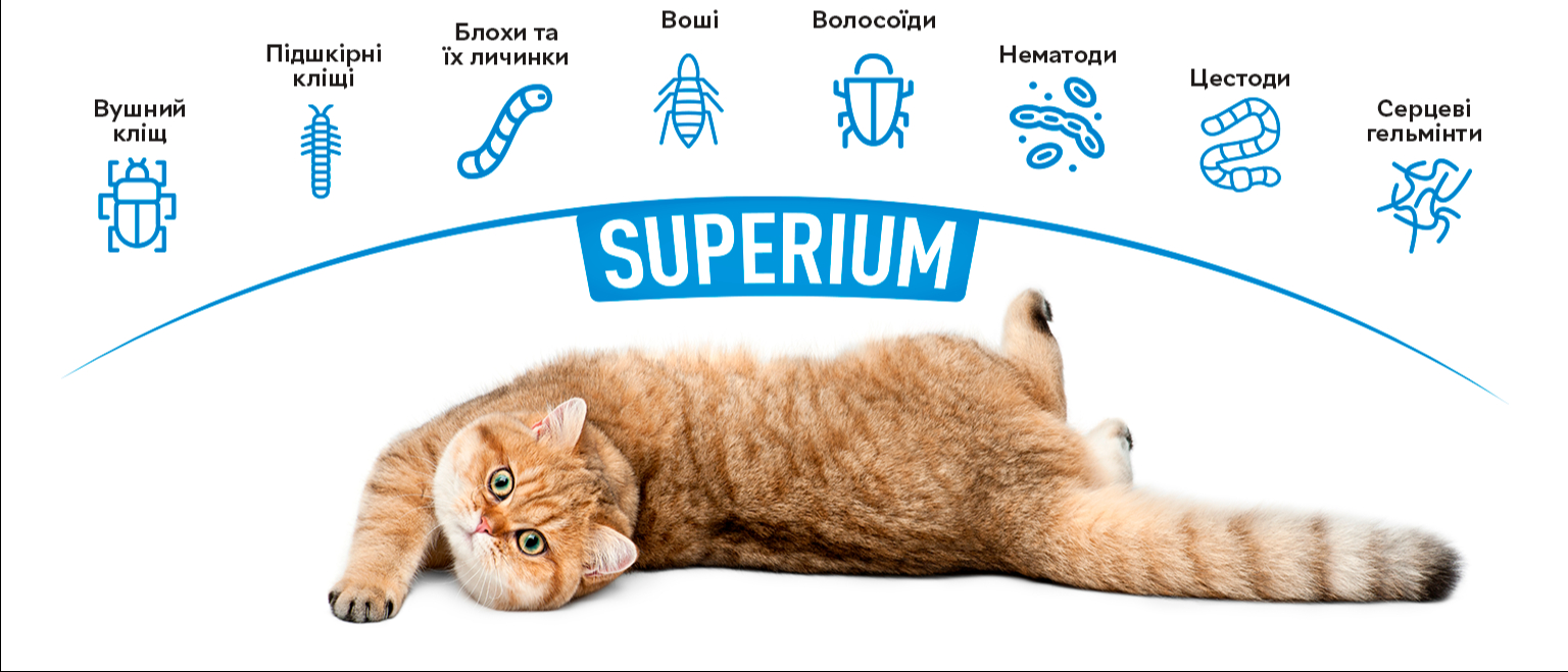 Купити Панацея для котів SUPERIUM 💪 по кращій ціні 🔥139 грн🔥 в Zoohub